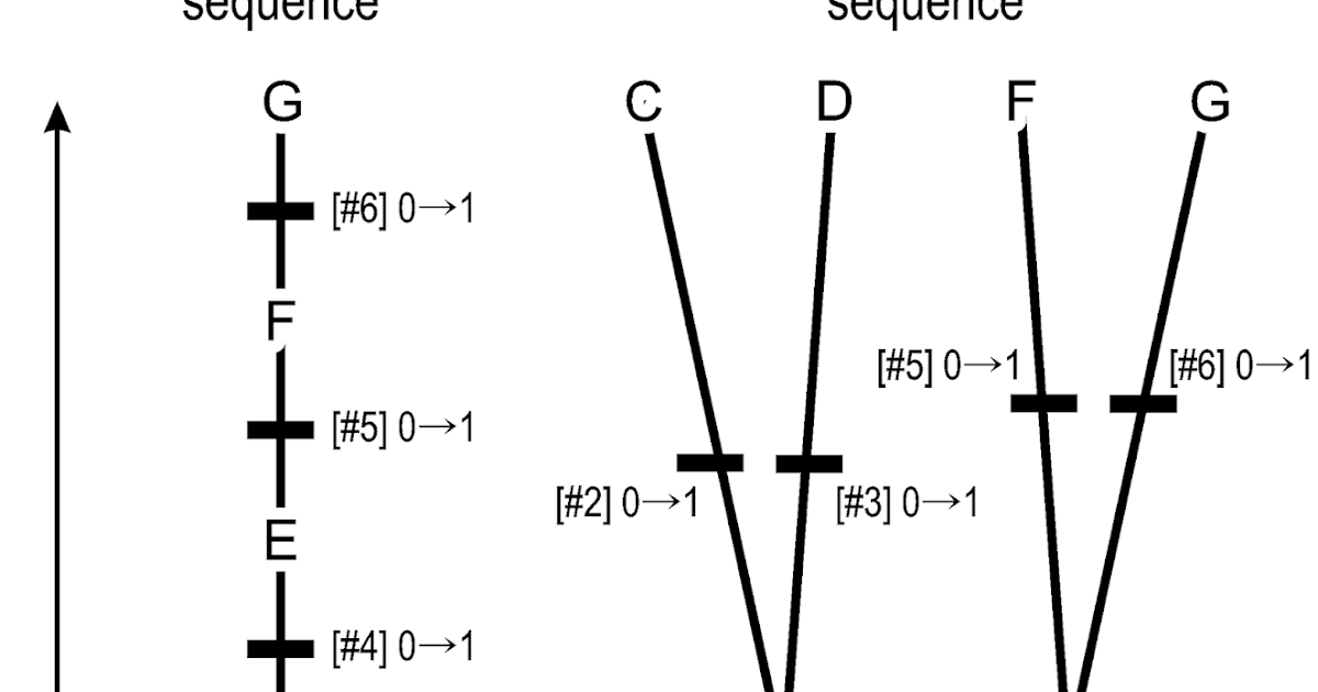 The Genealogical World of Phylogenetic Networks: Trivial data, but not ...