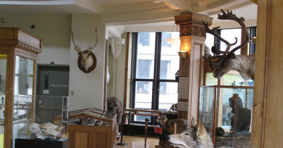 Made in Montreal: Redpath Museum (2)