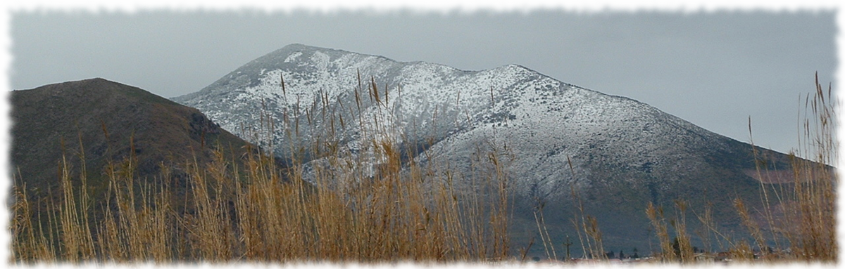 Monte Massico ed il territorio tra i fiumi Garigliano e Volturno: Monte ...