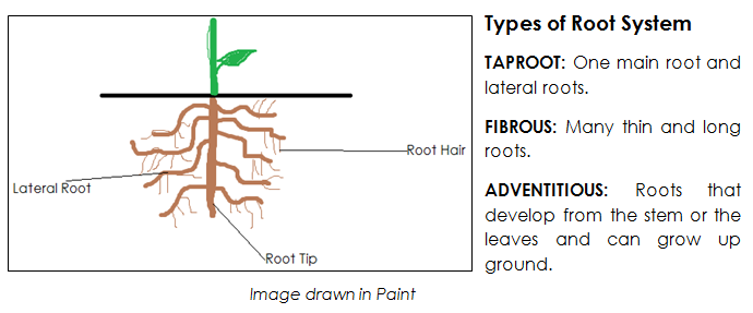 Science: Project ease