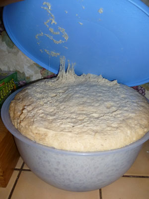 Save Green Being Green: Make-It Monday: Artisan Bread