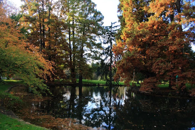 In and Around Northern Kentucky 2.0: Spring Grove Cemetery