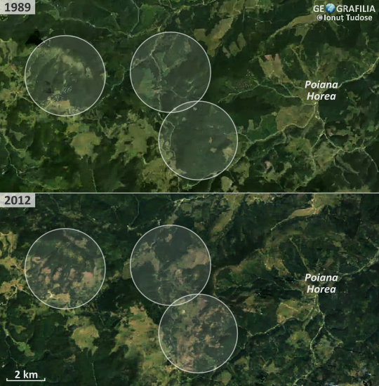 GEOGRAFILIA: Defrișările masive din România. 14 imagini satelitare ...