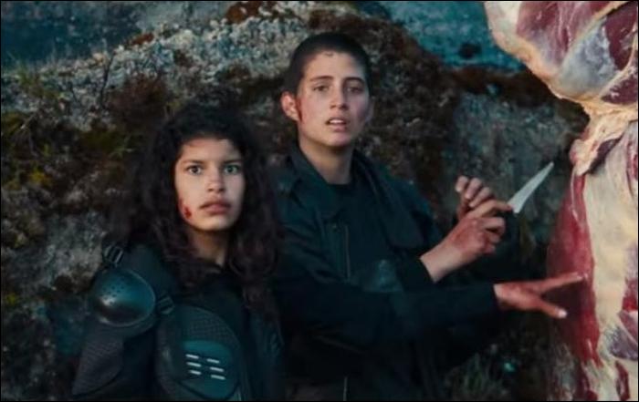 Monos (2019; Alejandro Landes)