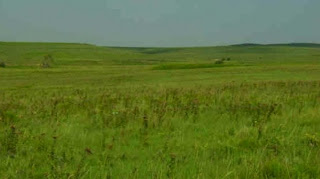 Prairie | Facts About All