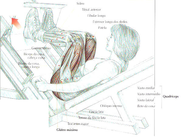 PERSONAL TRAINER RN CHINA : LEG PRESS 45º