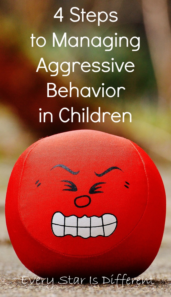 4 Steps to Managing Aggressive Behavior in Children - Every Star Is ...