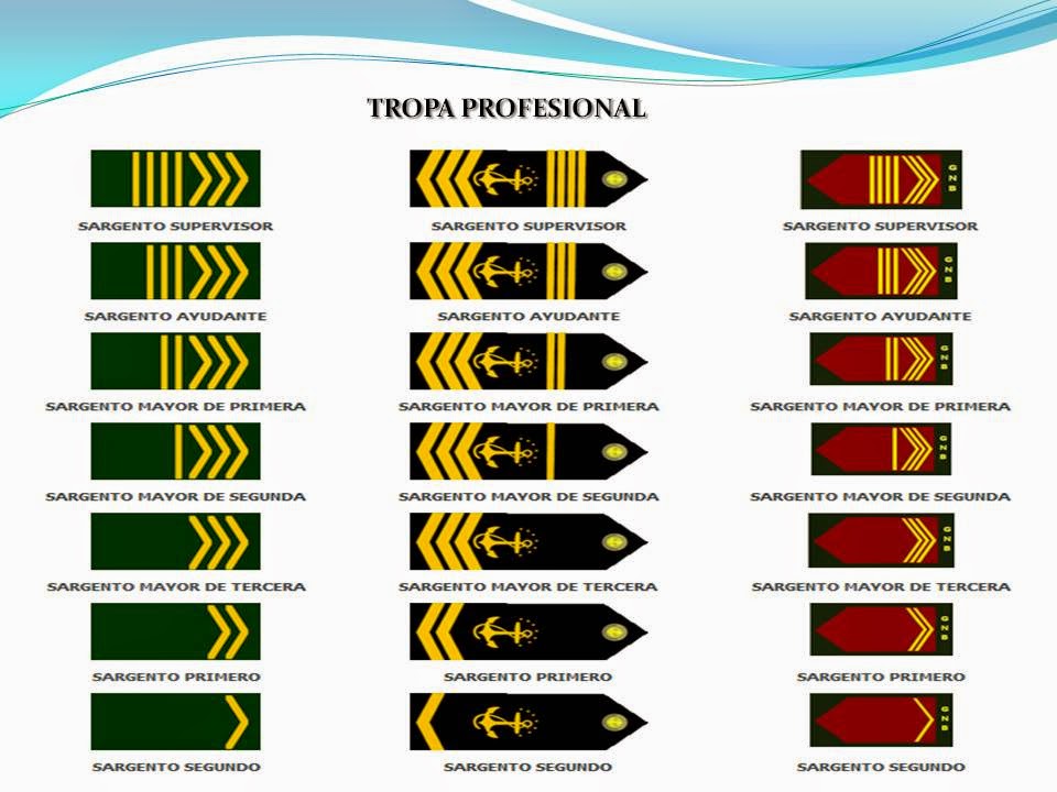 Jaime Jose Piña Arangure: Grados y Jerarquías Militares de la FANB