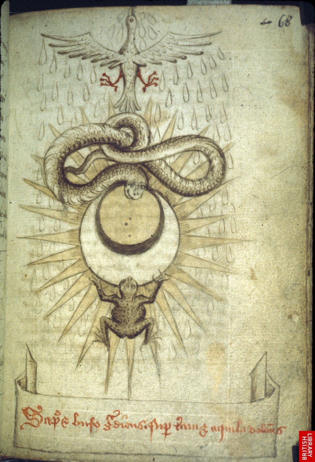 The Serpent Bites Its Tail: Alchemical Dragons