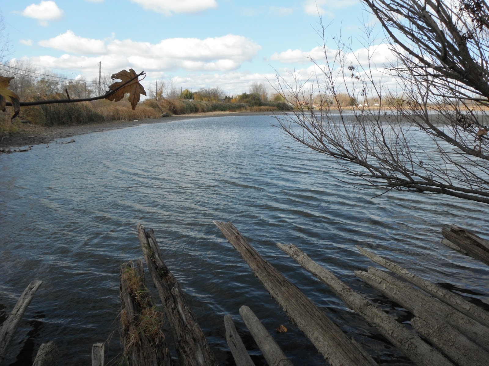 The Old Northwest Notebook: Hull's Trace: Walking on a 200 Year Old Log ...