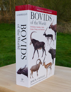 Bovines of the world by Jose R Castello Book Review | Gadget Review