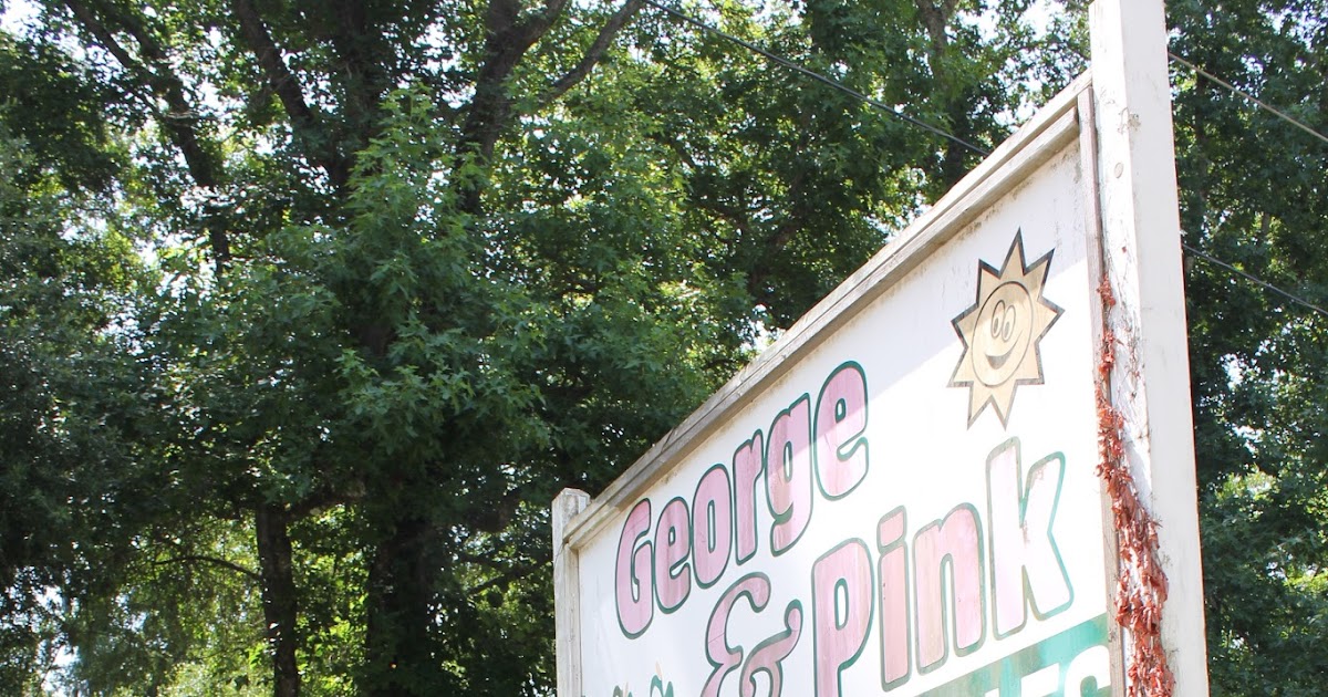 George & Pink in Edisto | Magnolia & Main