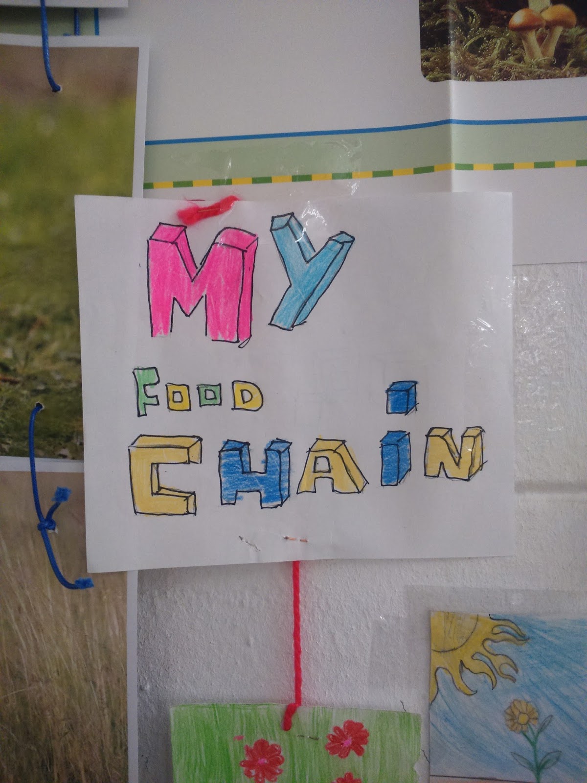 Blog del 2ºCiclo del CEIP Ciudad de Jaen: 4TH A FOOD CHAIN MOBILE