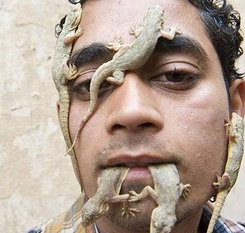 Amazing Indian Lizard Boy Playing with Lizards - Navratan Harsh from ...