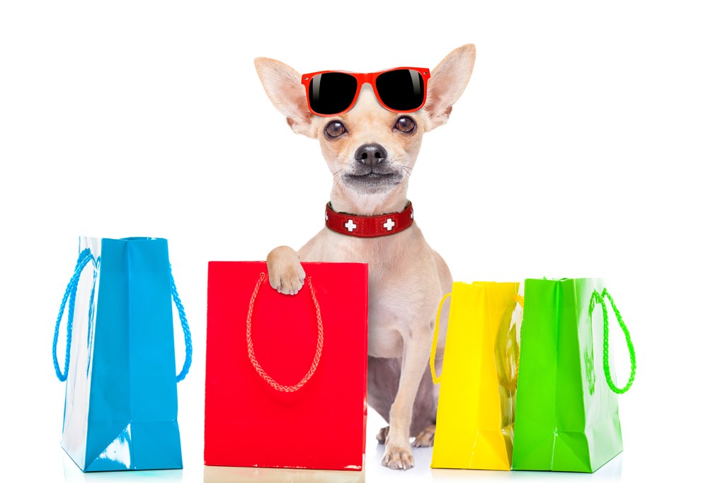 Le Kit De Survie La Shopping List Pour Pr parer L arriv e De Votre le-kit-de-survie-la-shopping-list-pour-pr-parer-l-arriv-e-de-votre