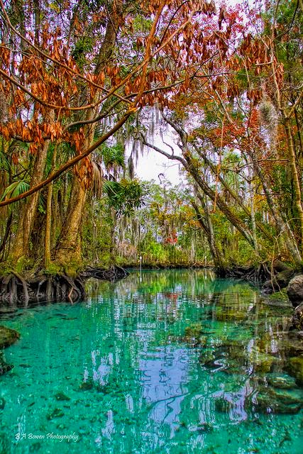 Most beautiful place in florida ~ Stunning nature