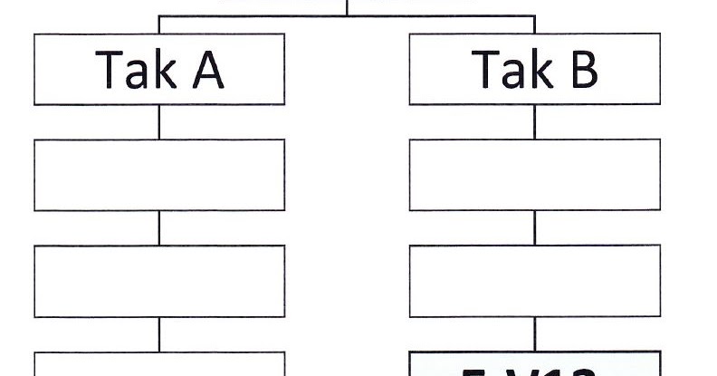 Familienetwerk Wollaert: De Gen-iale Stamboom