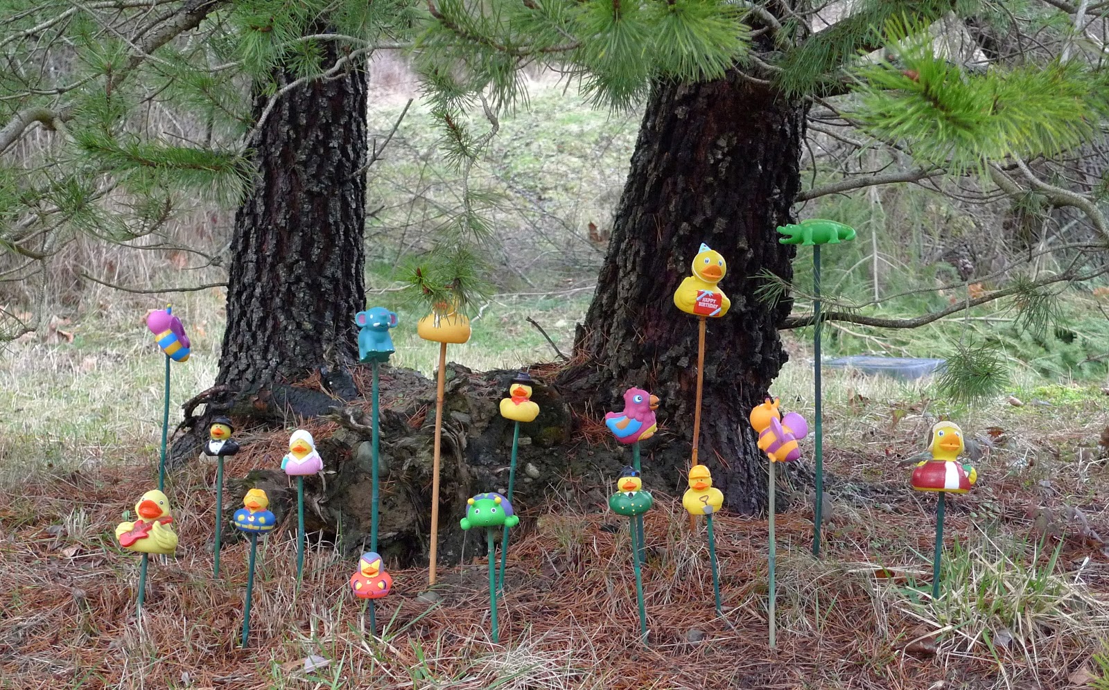 The Dragonfly Mother: The Bath Toy Graveyard