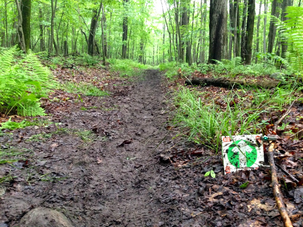 Pavement and Peaks: Race Report: Ragnar Trail Appalachians (West Virginia)