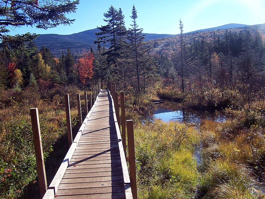 Hiking in the White Mountains: Zealand Notch to Mount Carrigain Trail Run