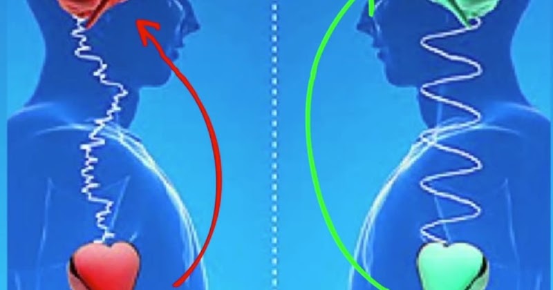 Tango Therapist: Tango and Cardiac Coherence