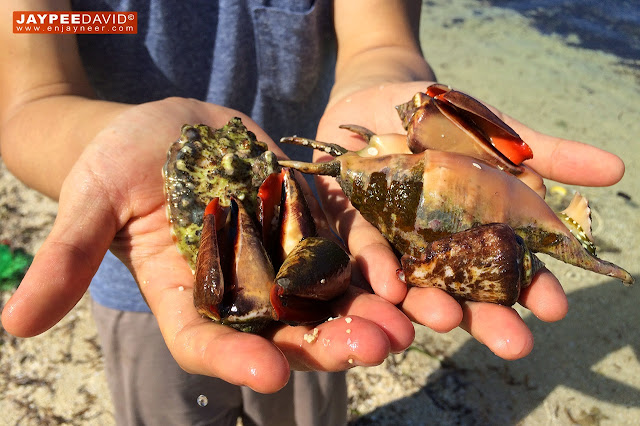 Heart of the Philippines: Maniwaya & Mongpong Islands | Marinduque