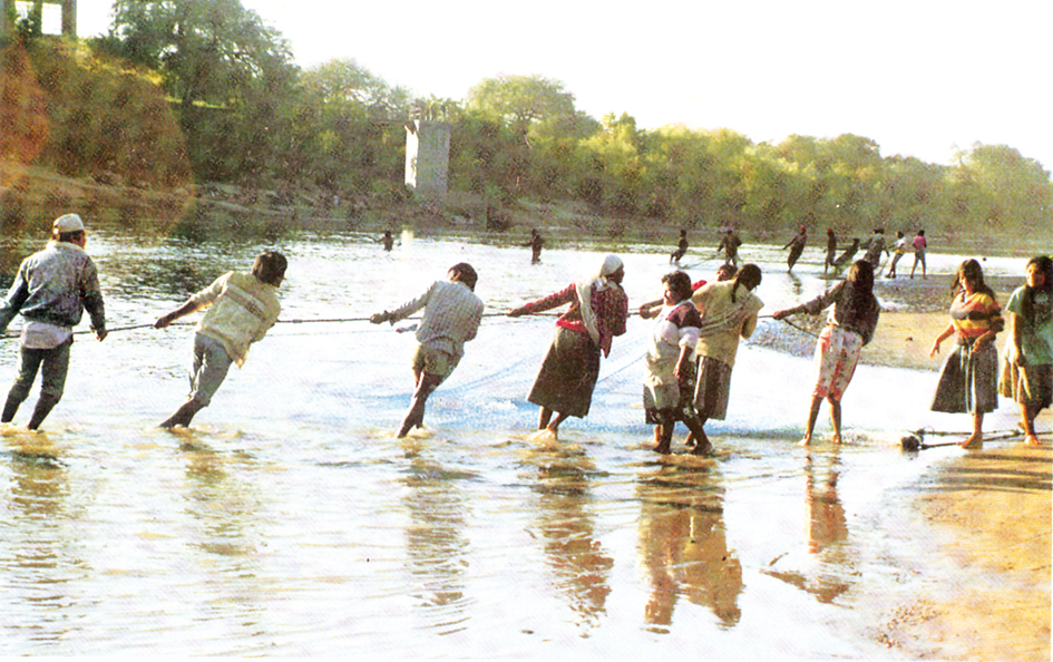 TOKWA’J HÉROE CULTURAL MATACO - Tarija Historica
