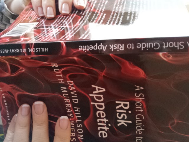 AgilePMO : How much risk should we take?