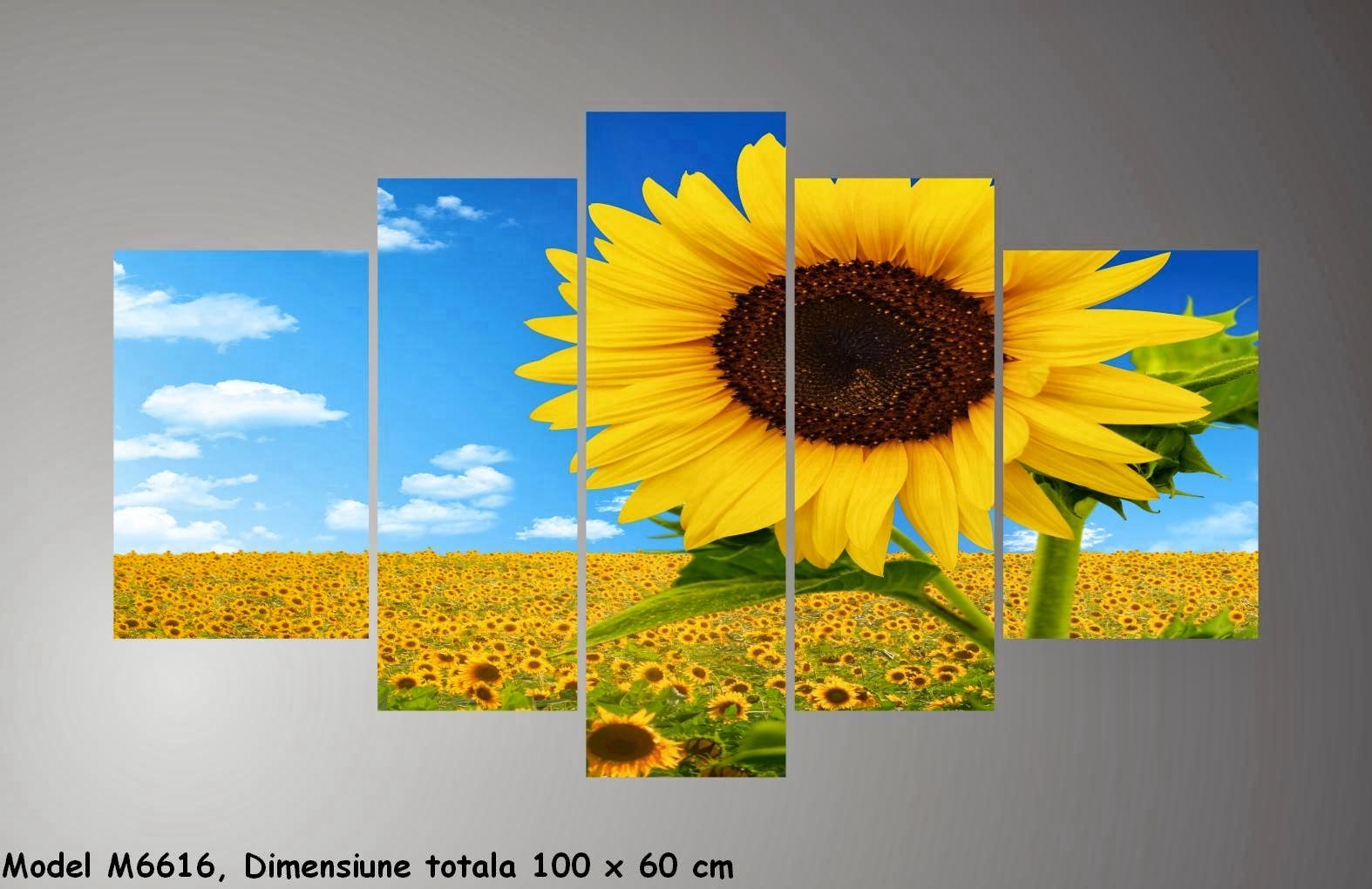 Tablouri Canvas, Tablouri Moderne, Tablouri Decorative, Tablouri ...