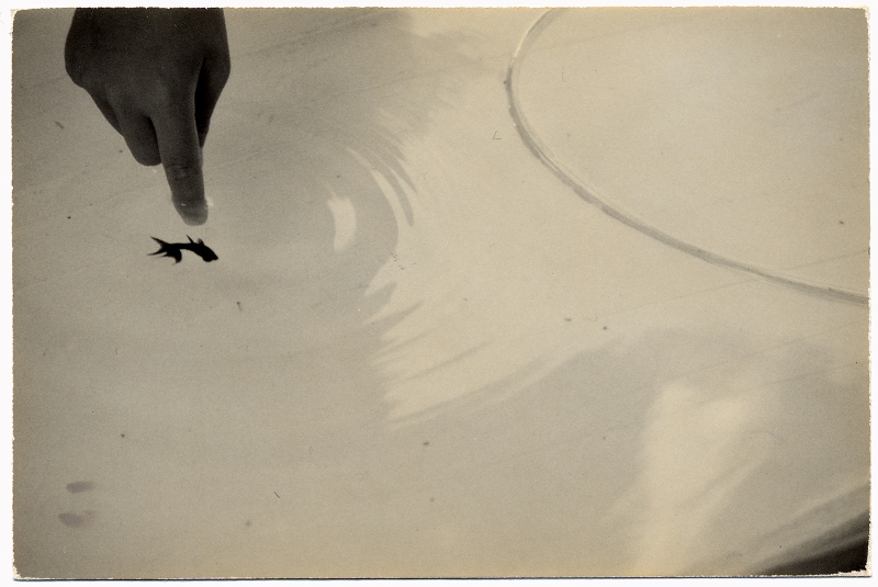 Windmills Of Your Mind: Masao Yamamoto- -- -Photographic Haiku