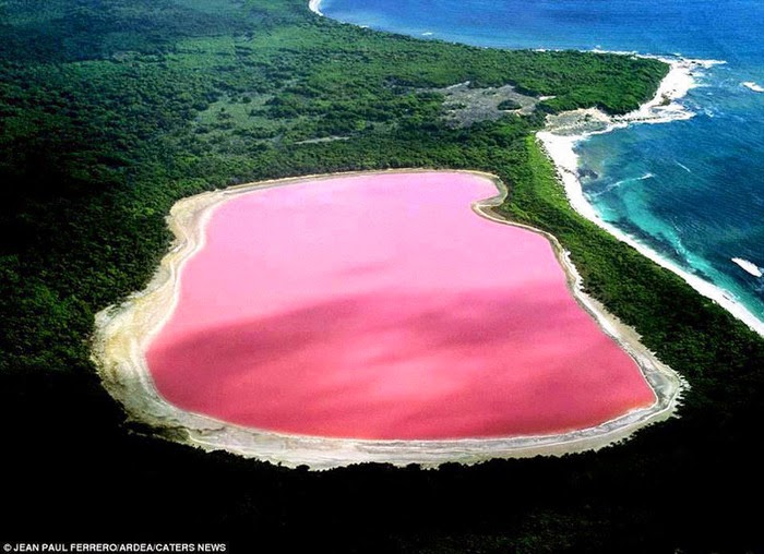 The Pink Lake - West Australia - Geology In