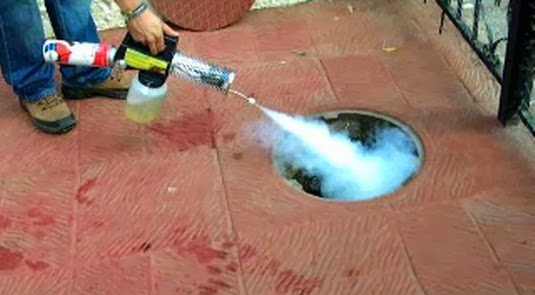 DESINFECCIÓN PROFUNDA Y CONTROL DE PLAGAS: TERMONEBULIZADOR MINI SMART ...