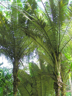 Pakadto sa Paraiso: The Antique Heritage Tour: Buri Sang Antique: The ...