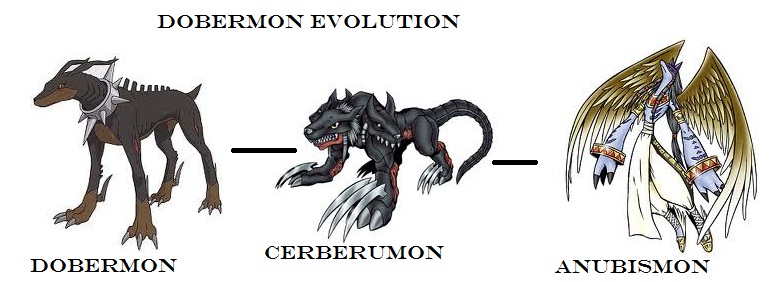 Dobermon Evolution