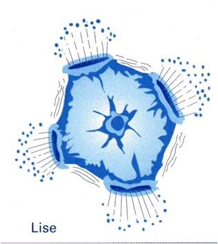 Blog Biologia: Resumo - Vírus