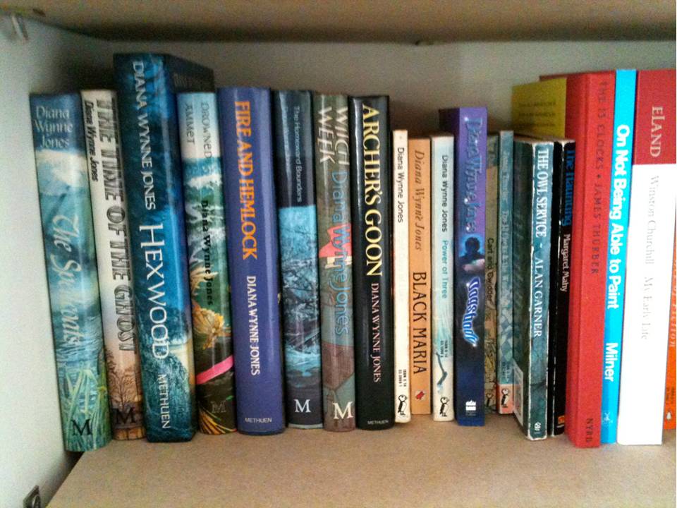 Bookcase Showcase by HM Castor Author of VIII