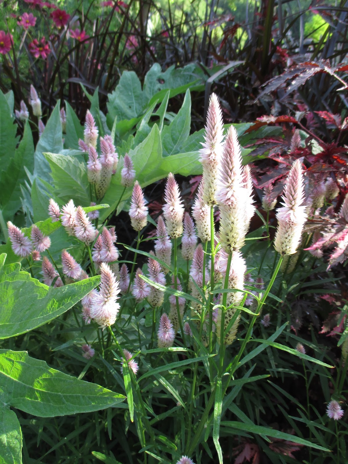 Rotary Botanical Gardens - Hort Blog: Back In Action