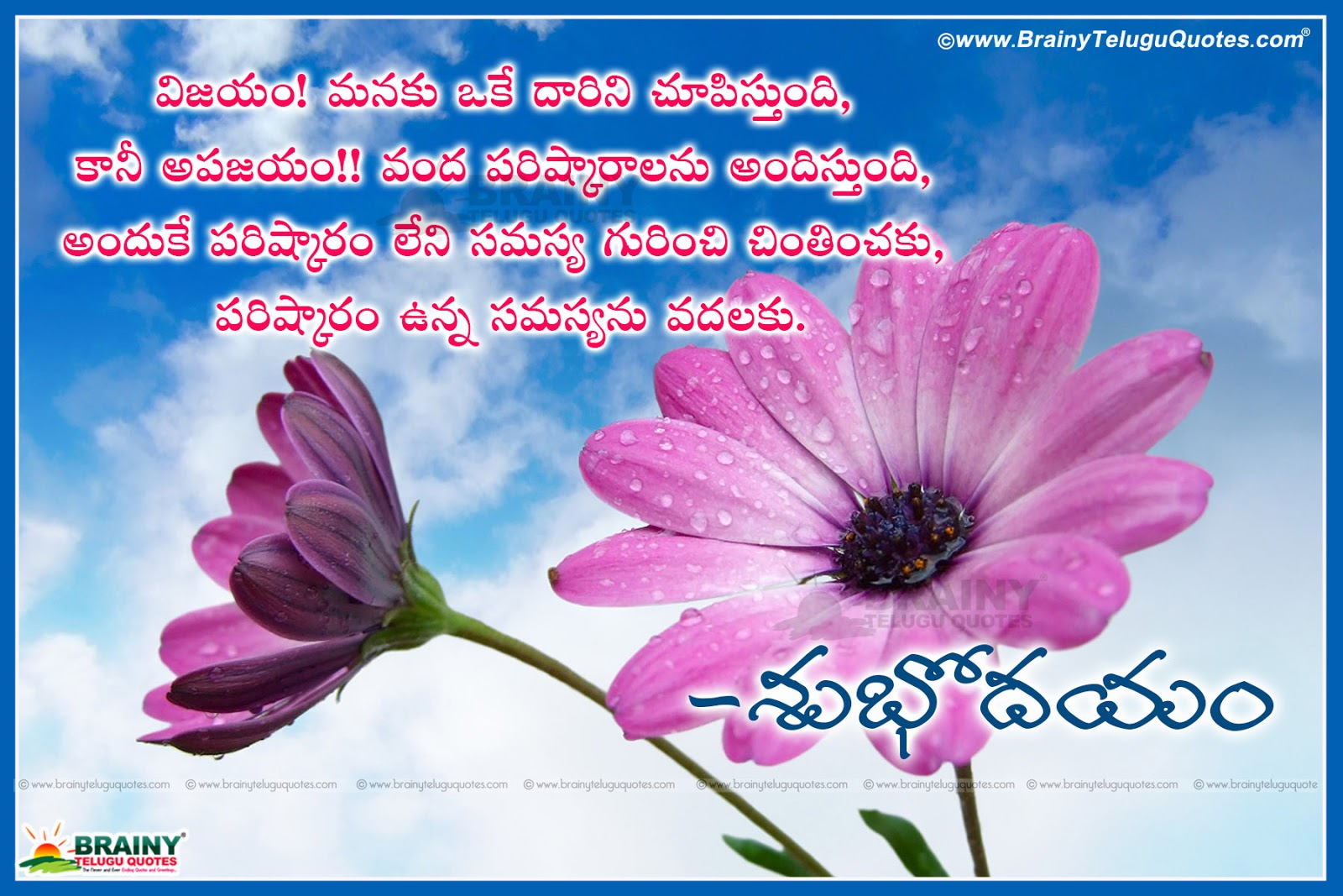 Telugu Inspirational Good Morning Quotes HD Images BrainyTeluguQuotes telugu-inspirational-good-morning-quotes-hd-images-brainyteluguquotes