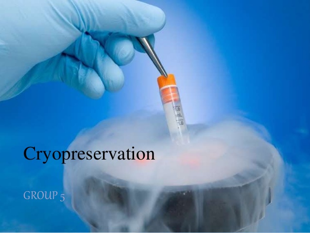 Why is Cryopreservation technique so famed?