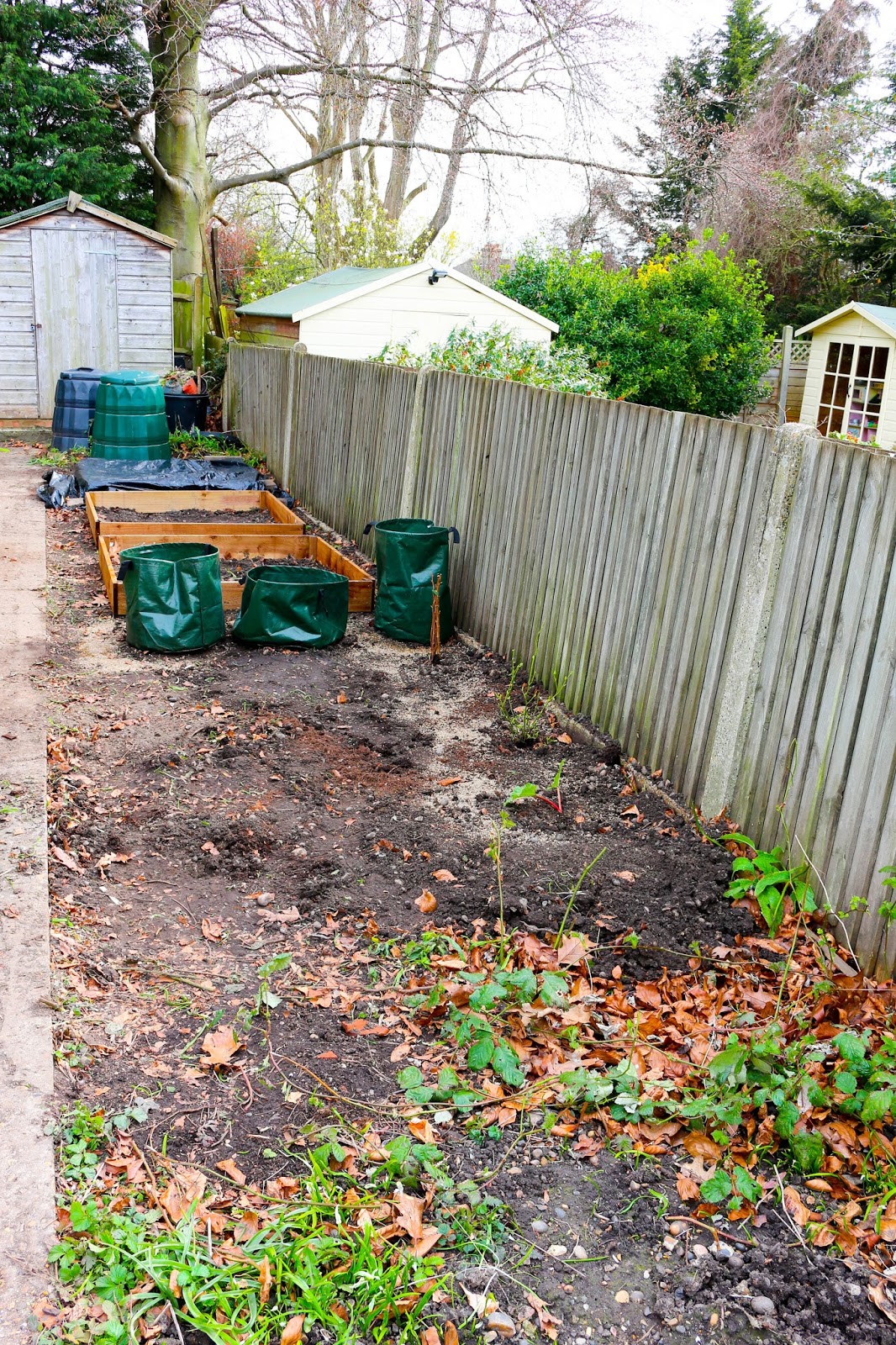 Growing our First Vegetable Garden. - Thimble and Twig