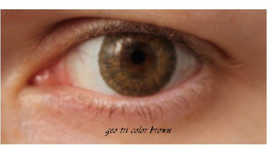 SOÑANDO EN TECNICOLOR: GEO TRI COLOR BROWN