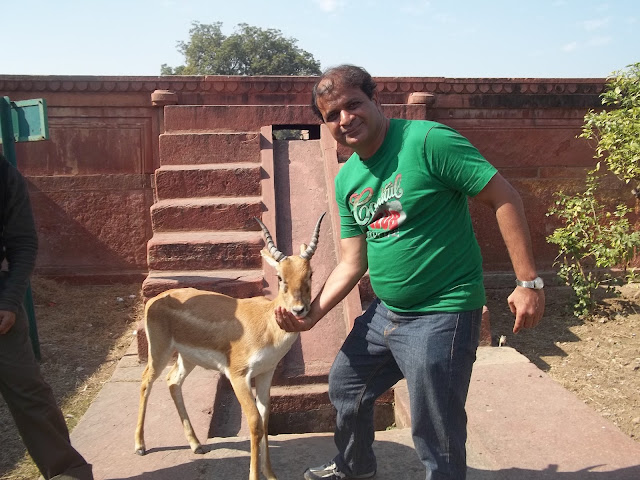 Wanderlust: Malsi Deer Park - Dehradun