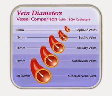 Vascular Access (Akses Intravena) Pada Kondisi Gawat Darurat - DUNIA ...
