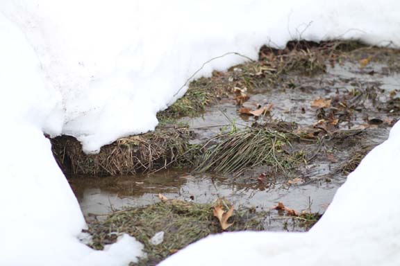 Getting Stitched on the Farm: Spring Thaw