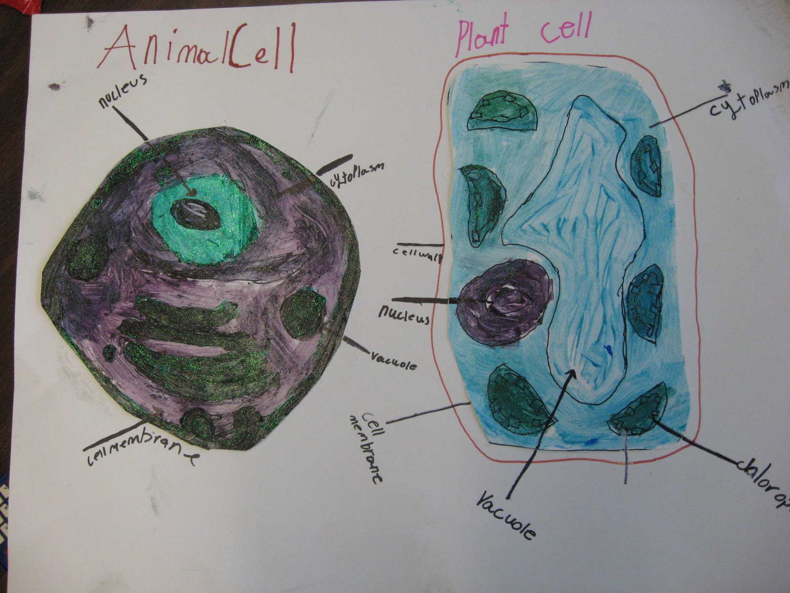 Third Grade Smarties!: Animal and Plant Cells
