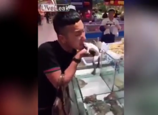 Man bites off head of live frog before proceeding to eat its intestines ...