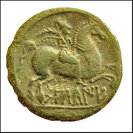 TIERRA SYLVANA: EL ROMPECABEZAS DEL ZEBRO (III): LAS FUENTES CLÁSICAS.