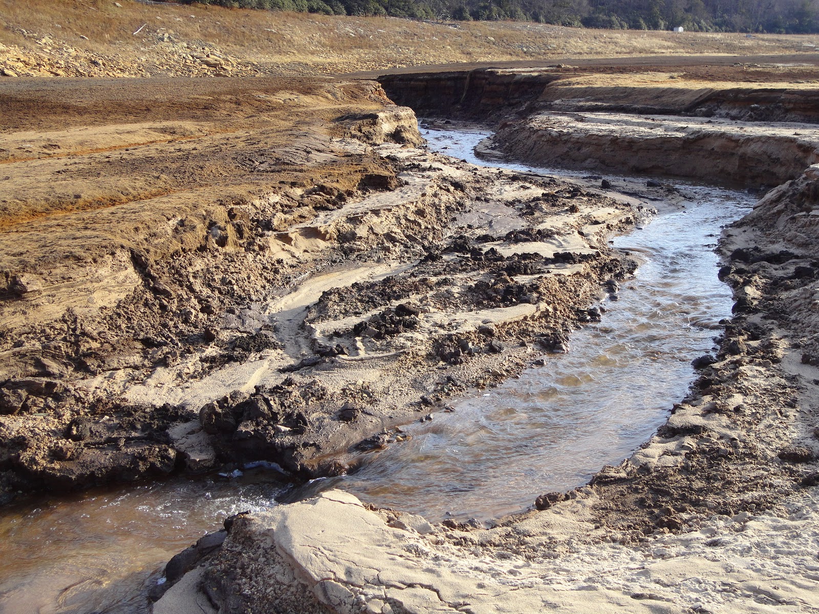 Mountain Lake Conservancy