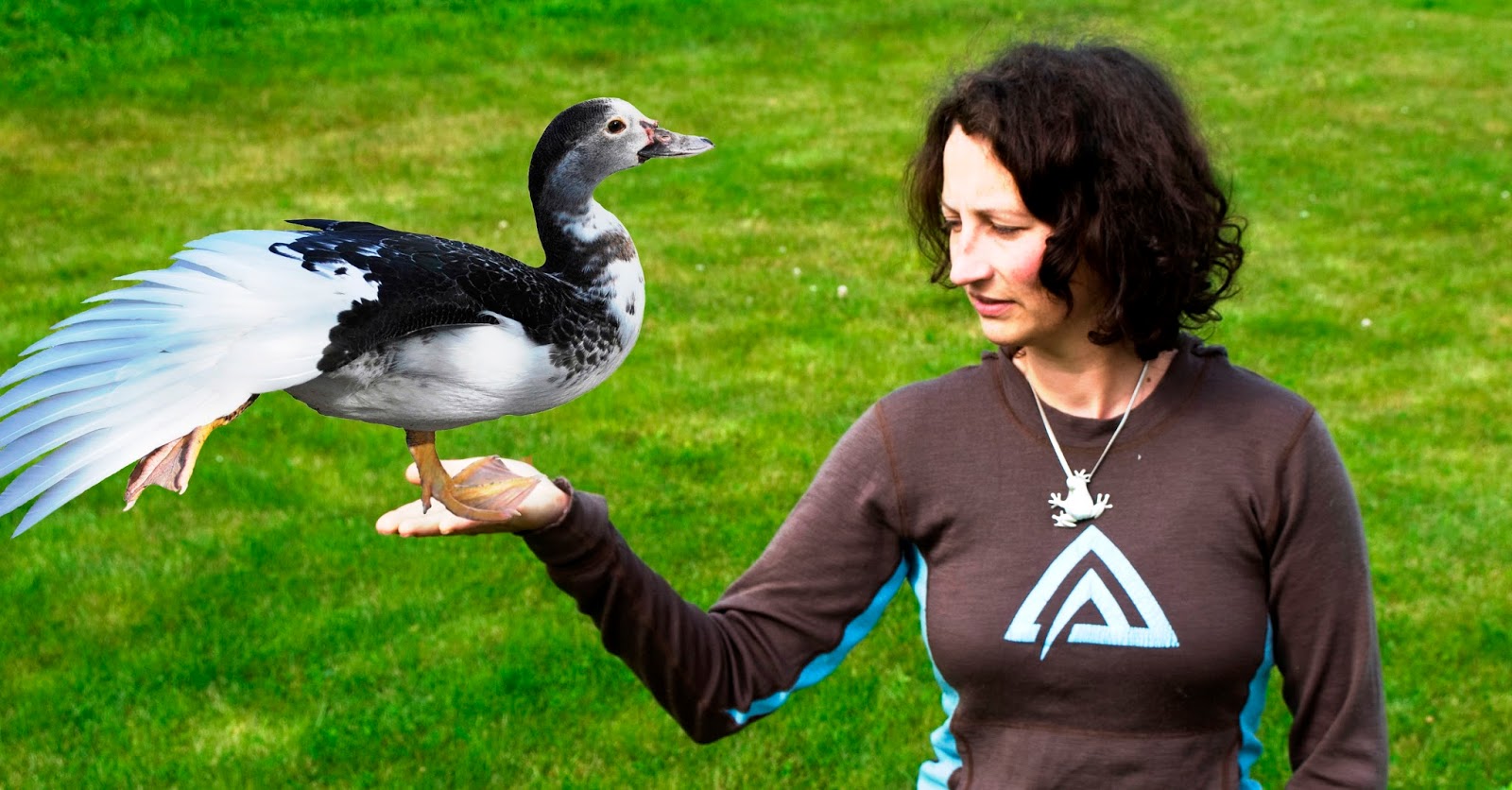 EGG: Moskusand akrobatikk:)