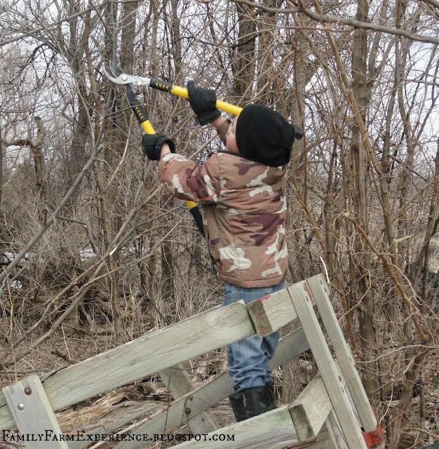 Family Farm Experience: DIY How to Build your own Treehouse